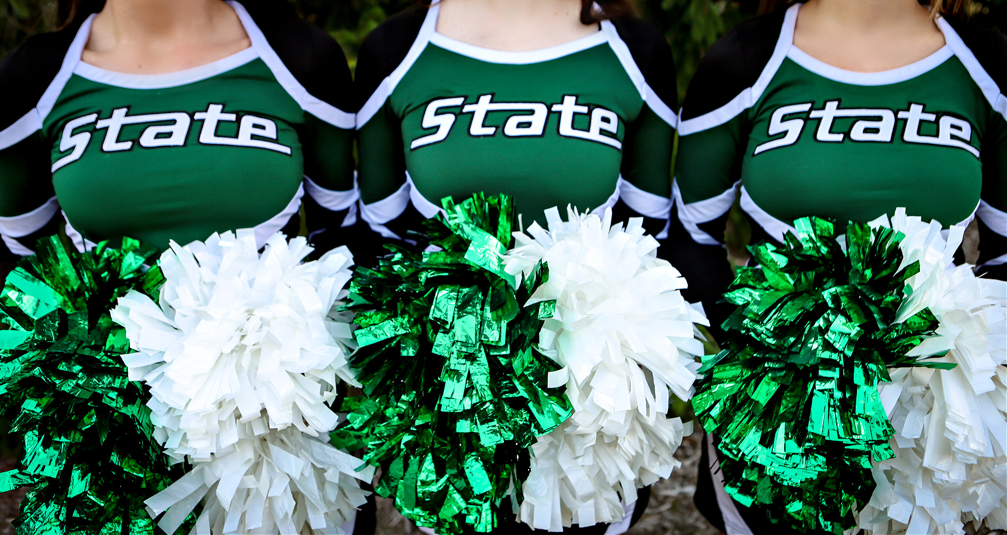 Team Services | Michigan State University Pompon